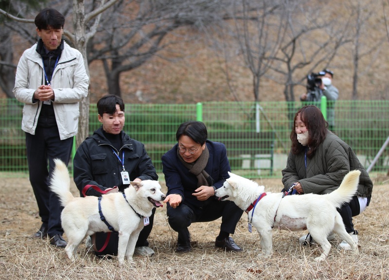 문 전 대통령 키우던 풍산개에 1억 5000만원 예산 편성 계획