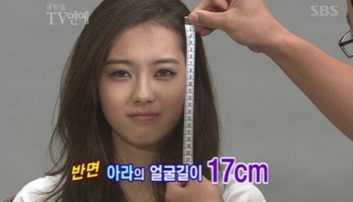 고아라, 비현실적으로 작은 언굴 '눈길'…실제 얼굴 길이 재보니 '사람 얼굴 맞아?'