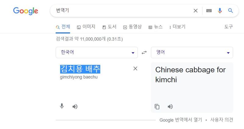 구글 번역기에 김치용 배추 입력하면 'Chinese cabbage for kimchi'