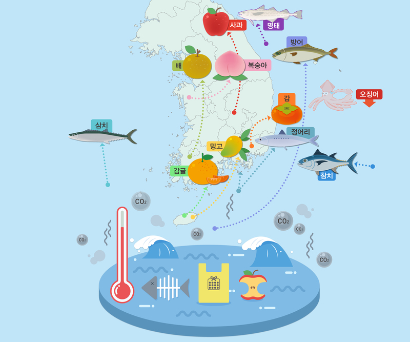 기후 위기는 먹거리 지도 어떻게 바꿨나 [기후위기 인포그래픽]