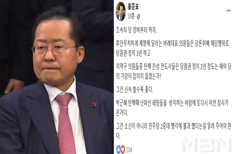 홍준표 "탄핵 찬성자들, 2년 당원권 정지 정도는 해야"