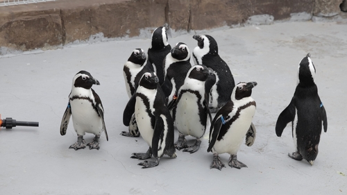 [Review TV] MBN ‘강석우의 종점여행’ 시즌3으로 돌아왔다…다시 시동 건 힐링 버스 여행