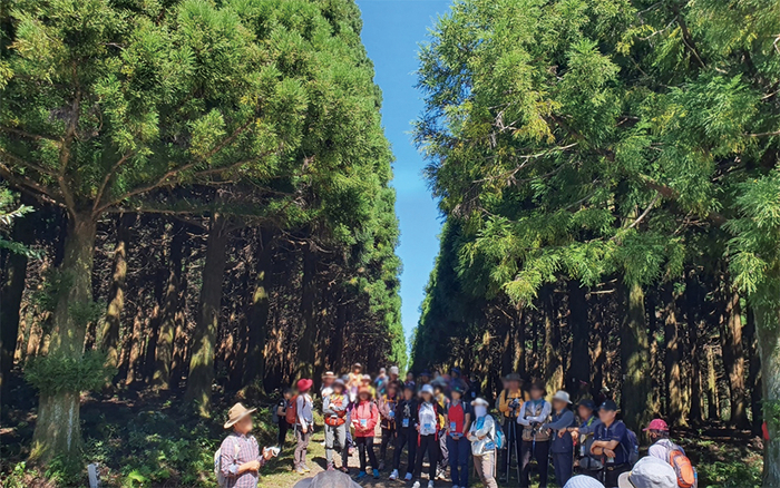 [TourList] 문 열린 제주 ‘비밀의 숲’...조금은 색다른 여행